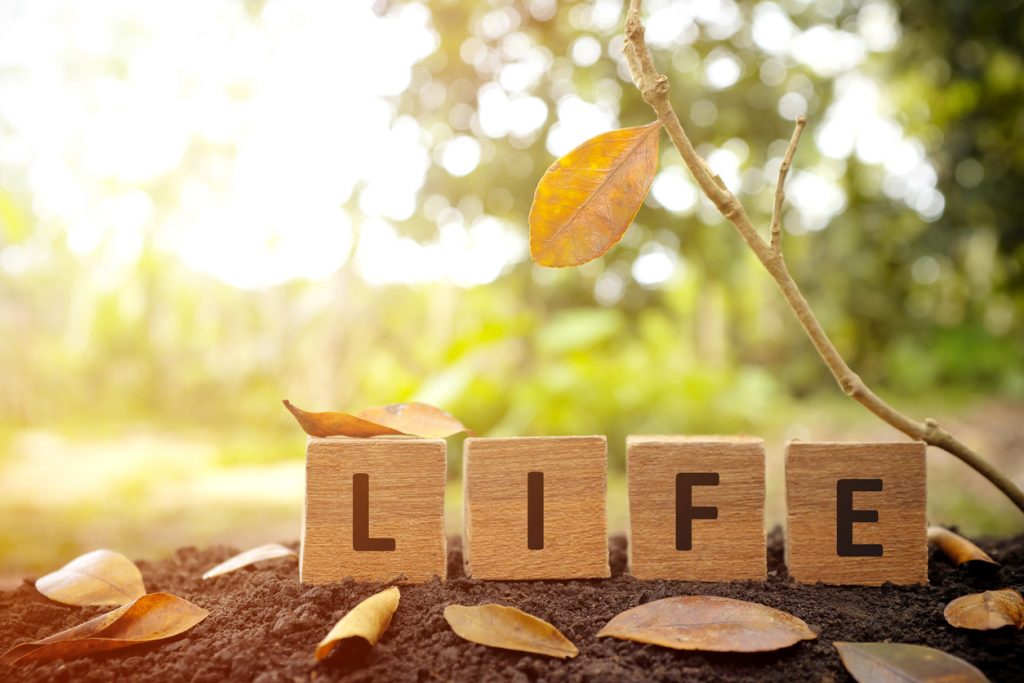 4 Surprising Facts About Life Insurance You Probably Didn’t Know - 1891 ...